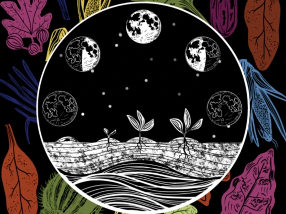 The Sonoran Desert School Gardener's Almanac | School Garden Workshop The Sonoran Desert School Gardener's Almanac | School Garden Workshop